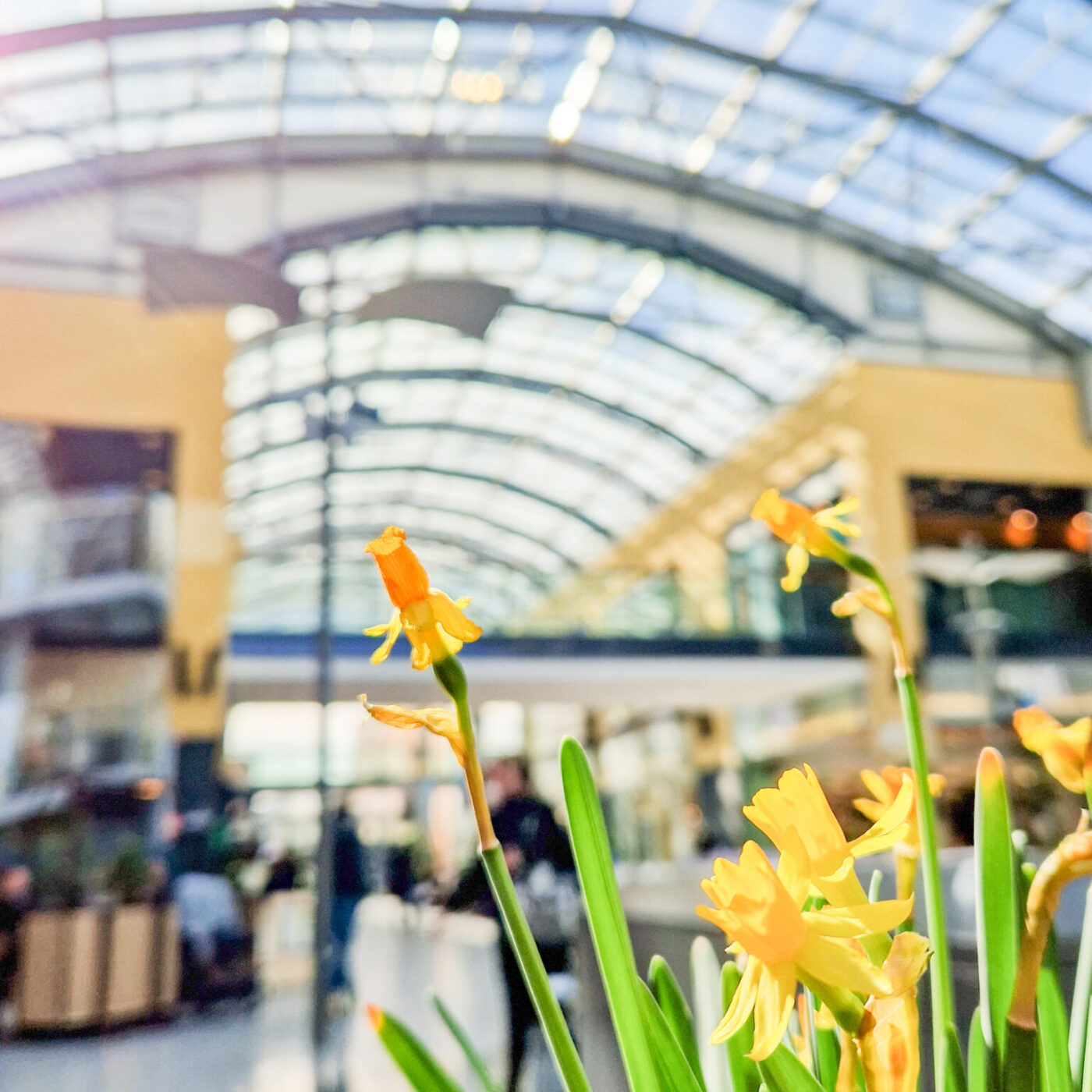Stellassa palvellaan myös Pääsiäisenä | Kauppakeskusstella Mikkeli